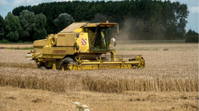 France faces ‘catastrophic’ 30-year low in wheat yields
