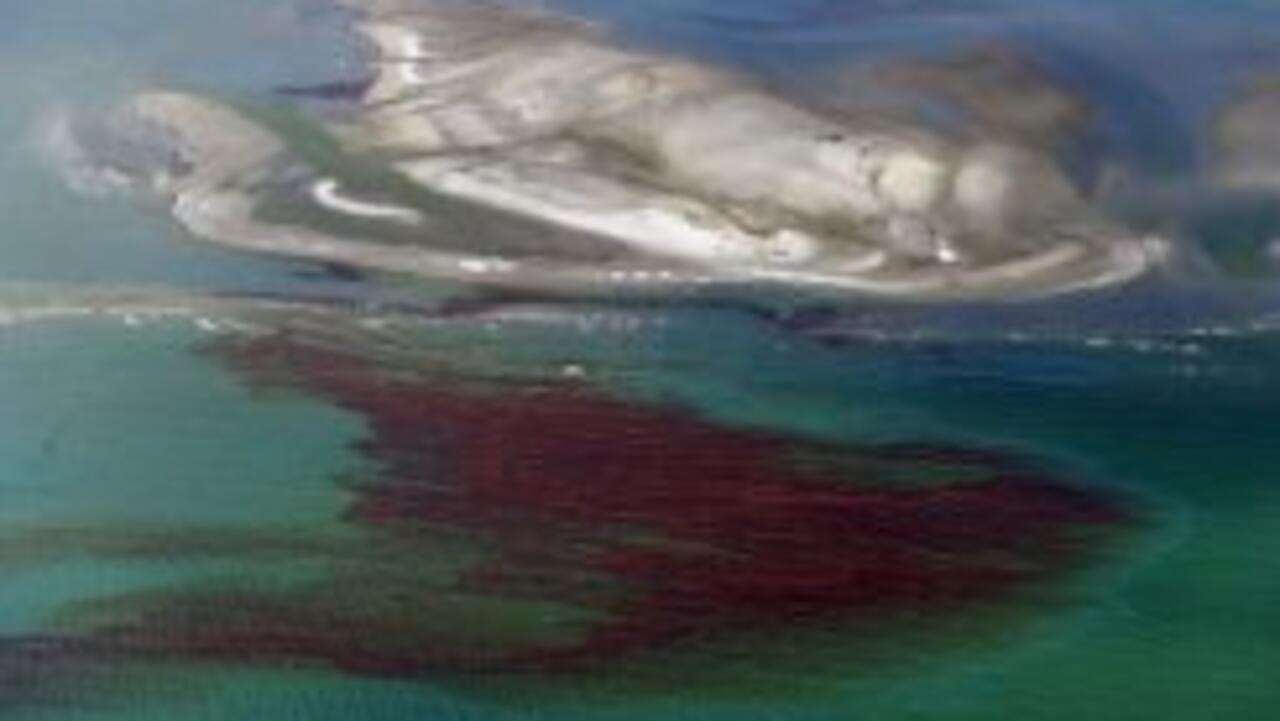 BP claims first success in containing Gulf of Mexico oil spill