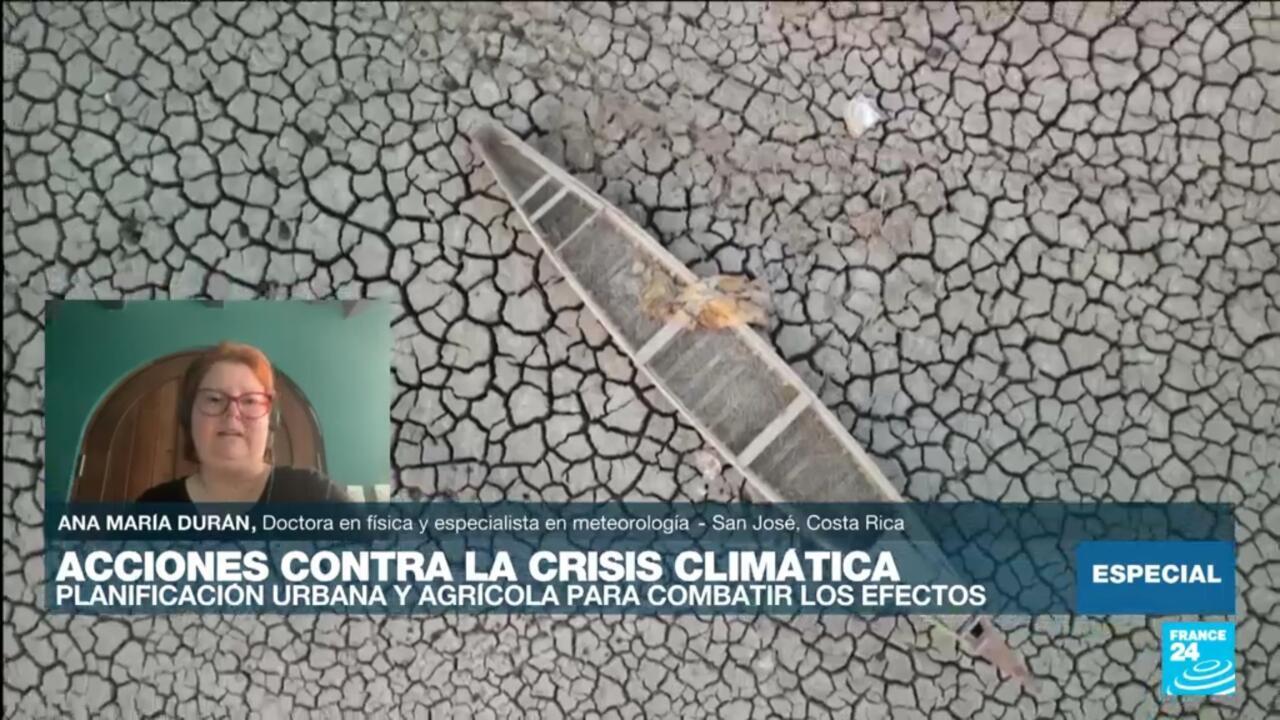 ¿Qué acciones tomar para hacer frente a la crisis climática? - Especial ...
