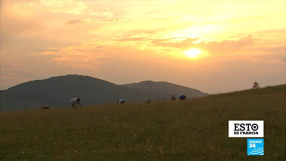 El encantador paseo por el tesoro de los Vosgos - Esto es Francia