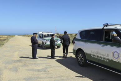 Libya green group battles to save remaining forests