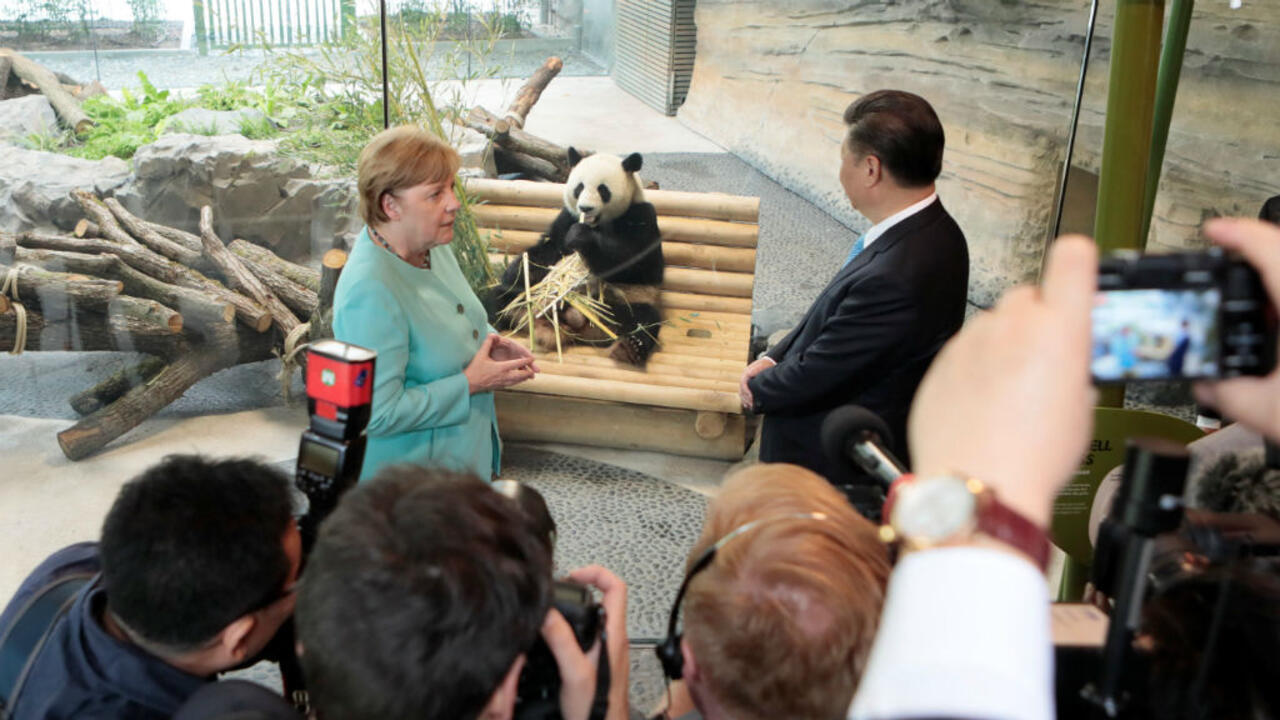 Chinese President Xi Jinping's ‘panda diplomacy’ with Germany