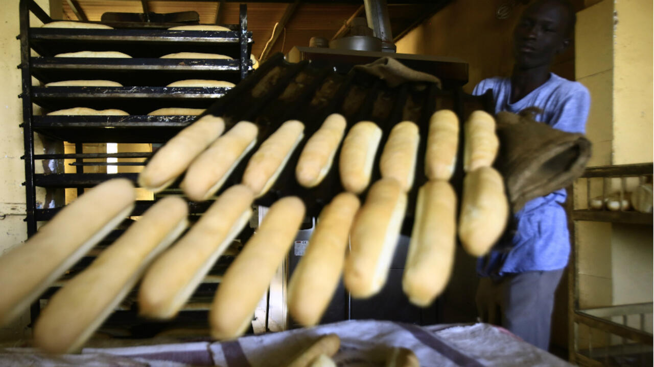 Student killed, opposition leader detained as Sudan bread protests spread