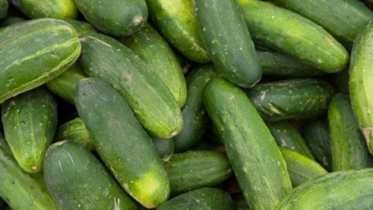 Alerte au concombre tueur en Europe