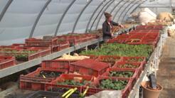 French agriculture in crisis: A challenge for tomorrow's farmers ...