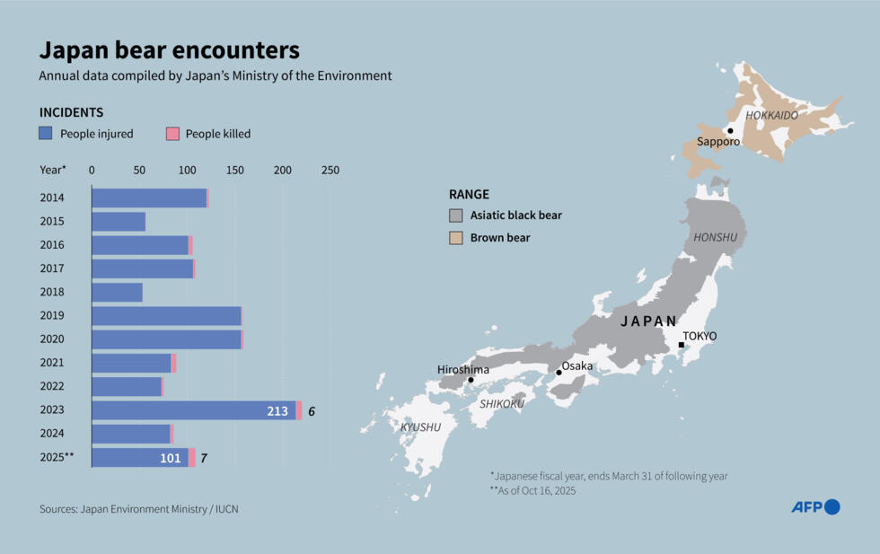 Fatal bear attacks in Japan hit record number