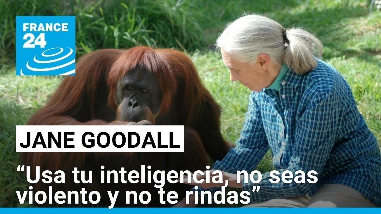 Jane Goodall: "Me sorprende todavía que algunas personas puedan ser tan ...