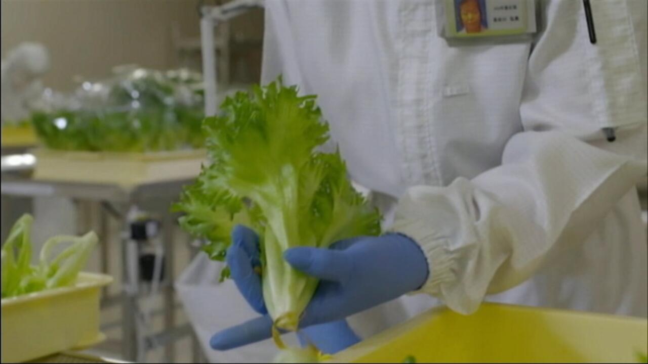 Boosting farming with technology - Tech 24