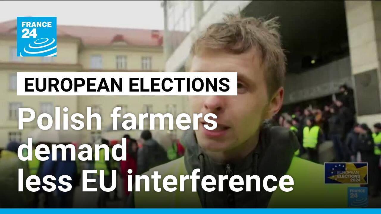 European elections: Polish farmers demand less EU interference ahead of ...