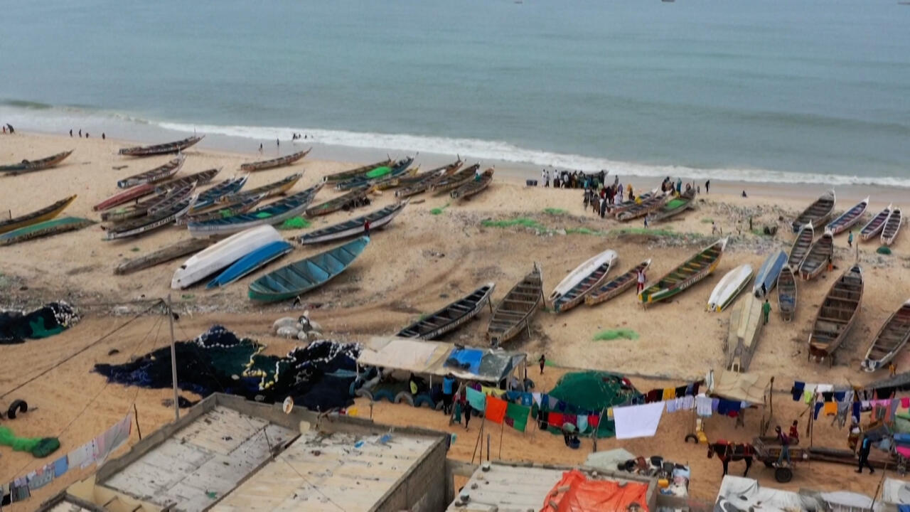 Au Sénégal, la pêche menacée par l’exploitation du gaz offshore - France 24