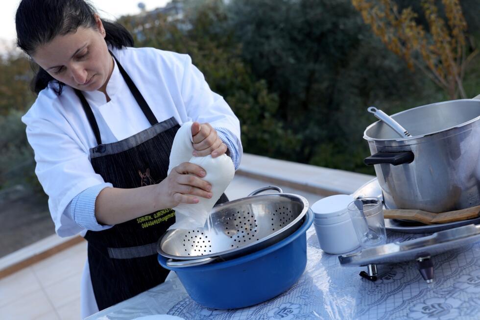 'Taste of love': Donkey milk cheese meets success in Albania