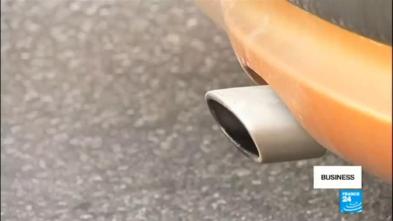 Volkswagen under fire for testing diesel fumes on monkeys, humans ...