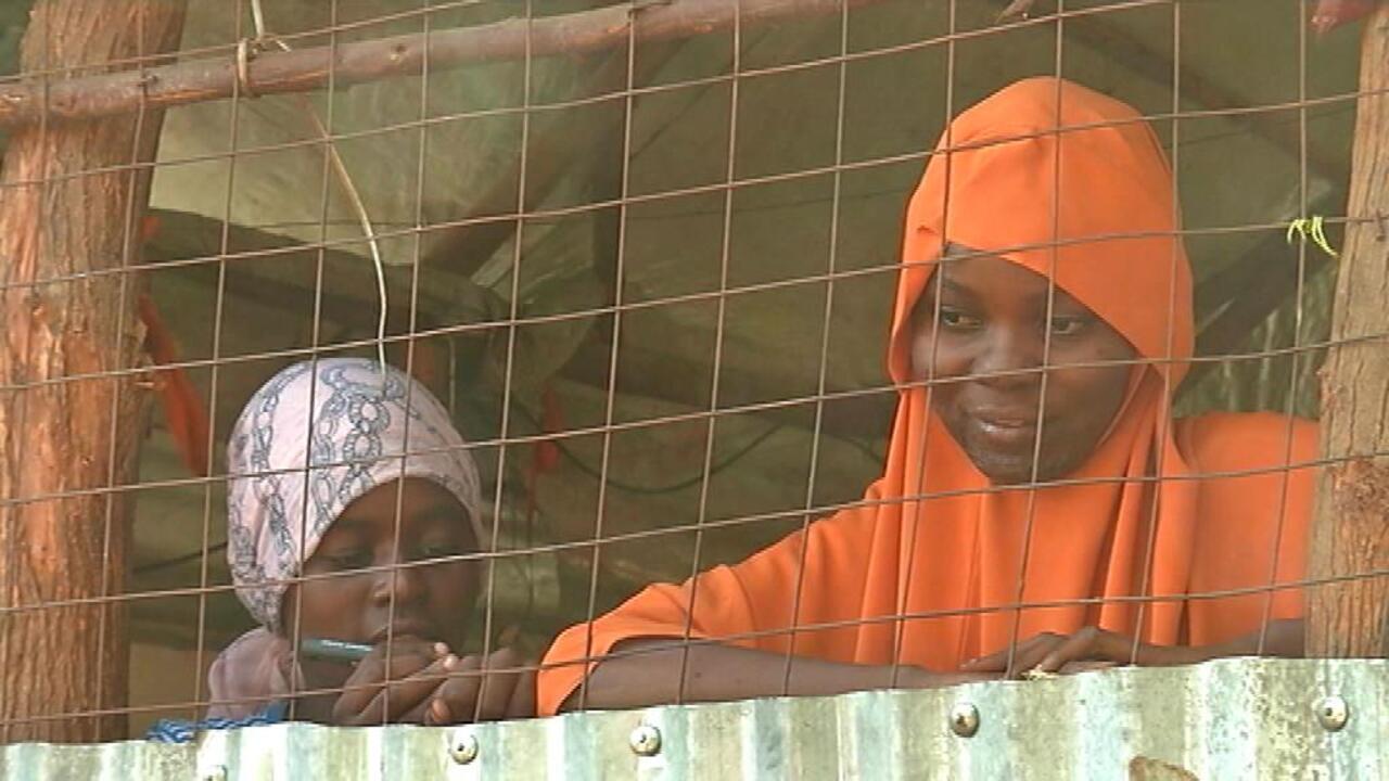 Environmental migrants: The neglected refugees - Down to Earth