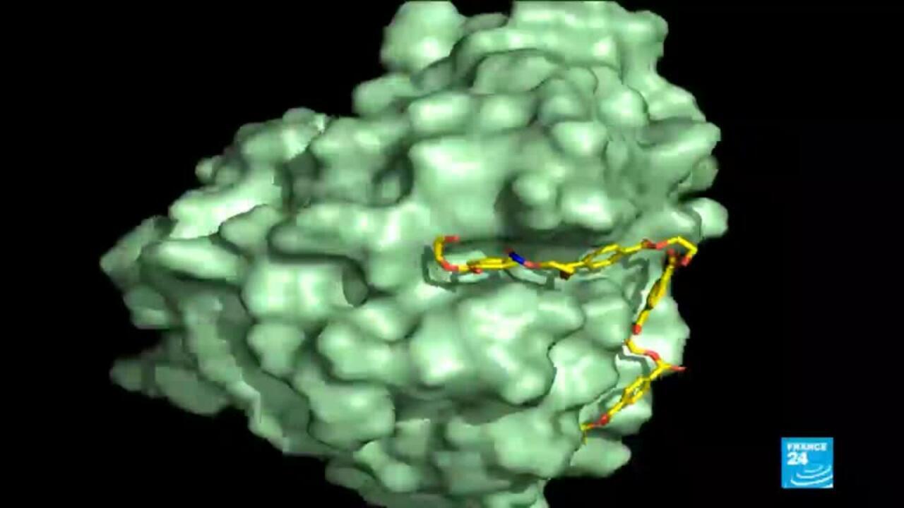 A happy accident: scientists create a mutant enzyme that eats plastic ...