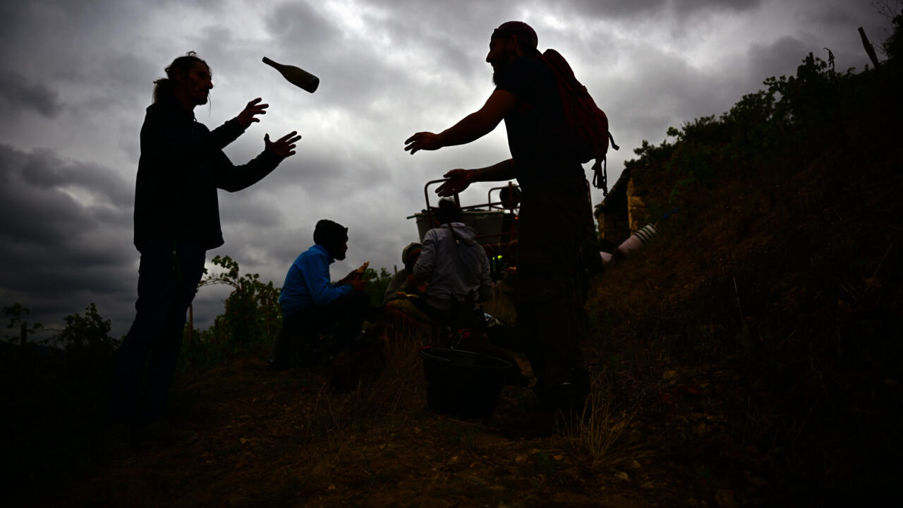 Funny old world: the week's offbeat news