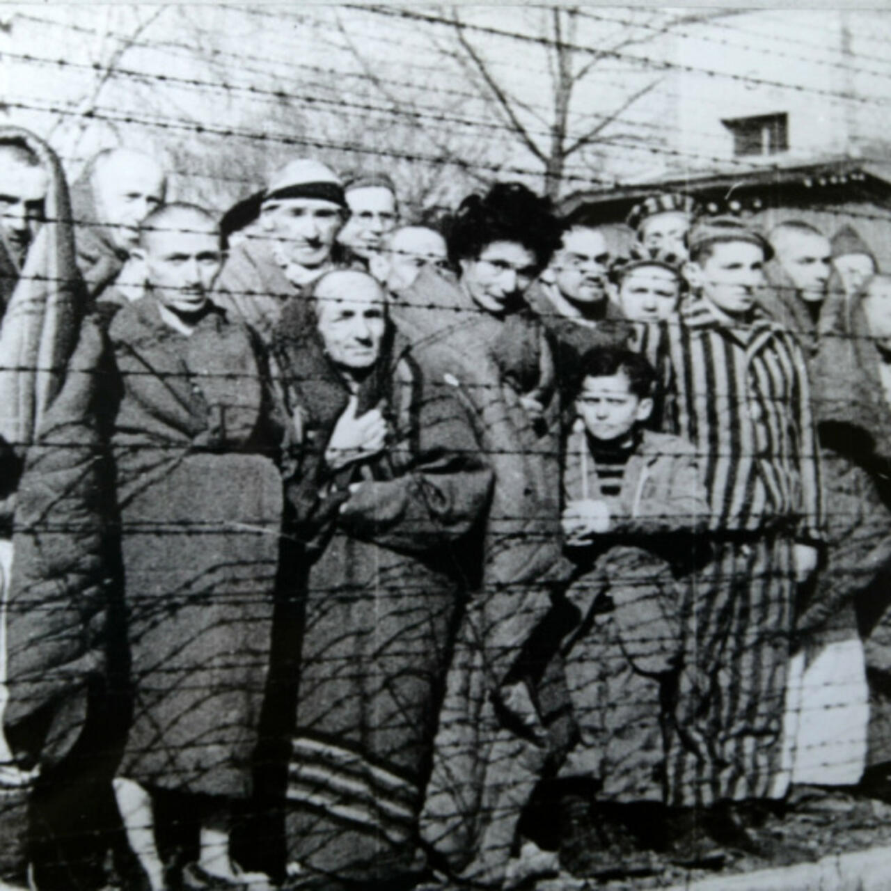 Auschwitz Concentration Camp
