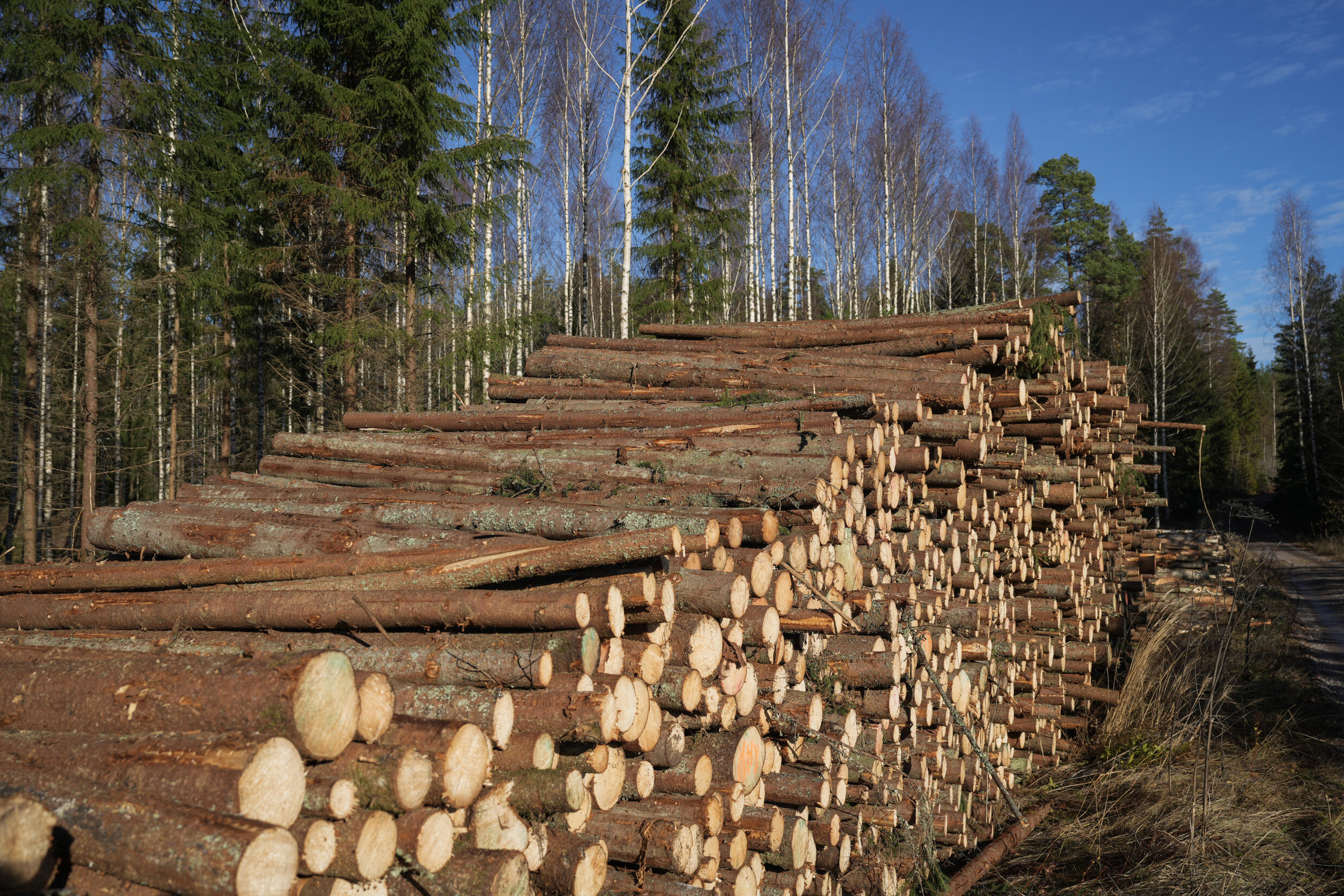 Finland's foresters decry 'unfair' EU climate plans