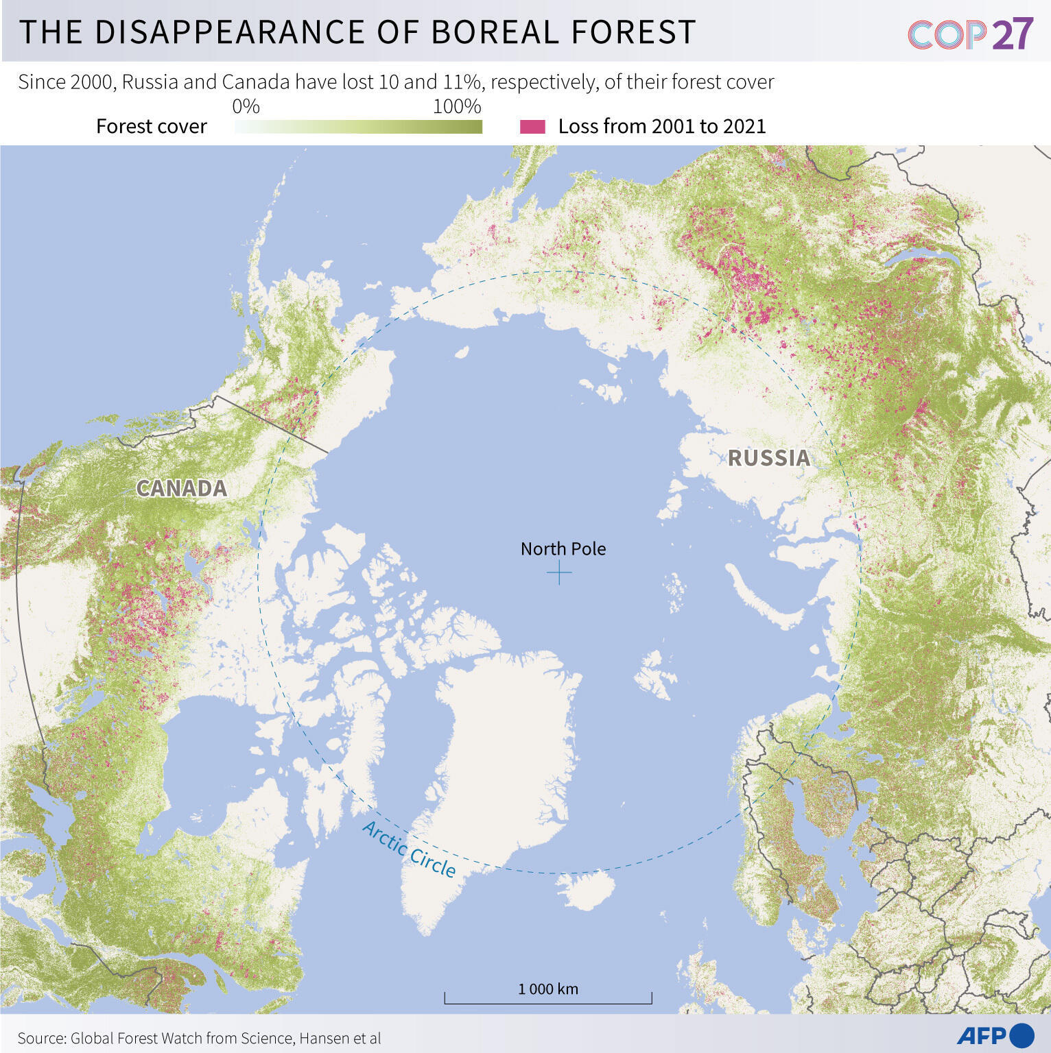 Subarctic boreal forest, vital for the planet, is at risk