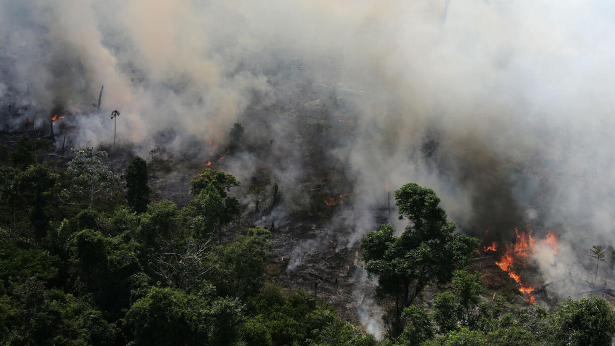 Incendios forestales en el Amazonas avanzan a una velocidad récord