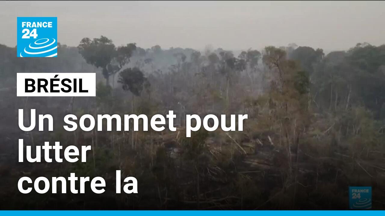 Un sommet pour sauver l'Amazonie : le Brésil reçoit huit états pour ...