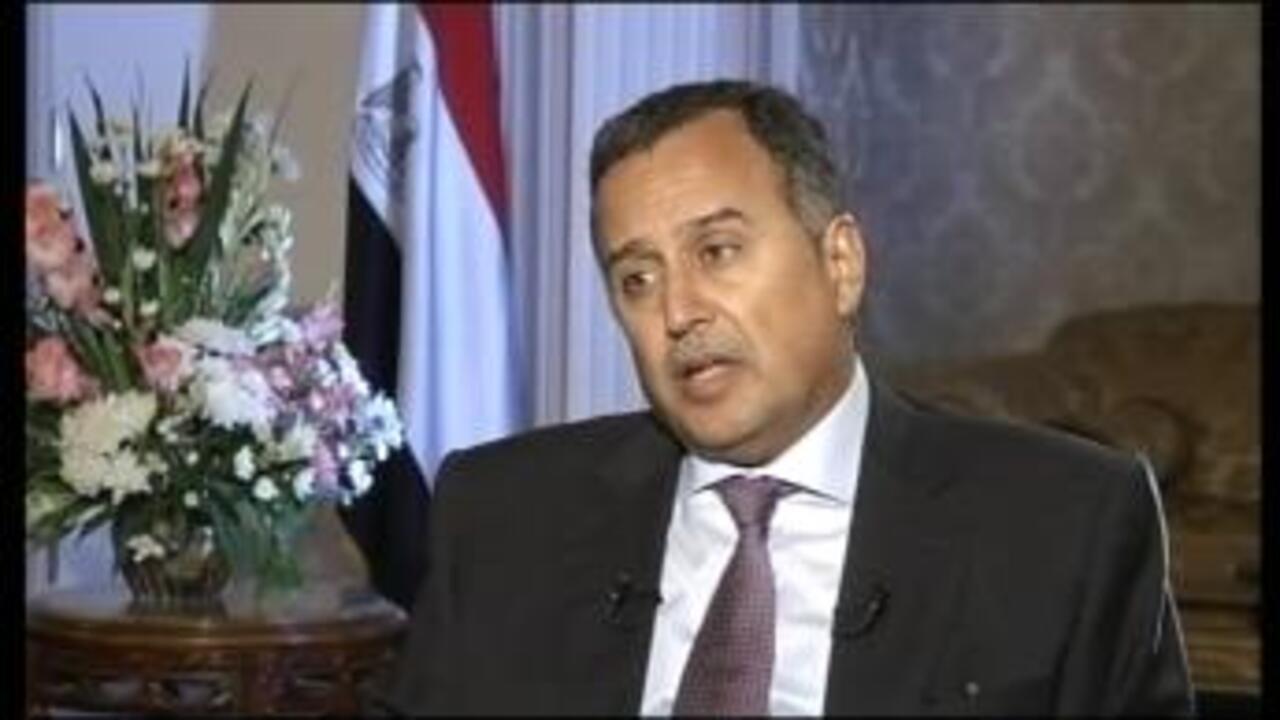 Nabil Fahmy, Egyptian Foreign Minister - The Interview