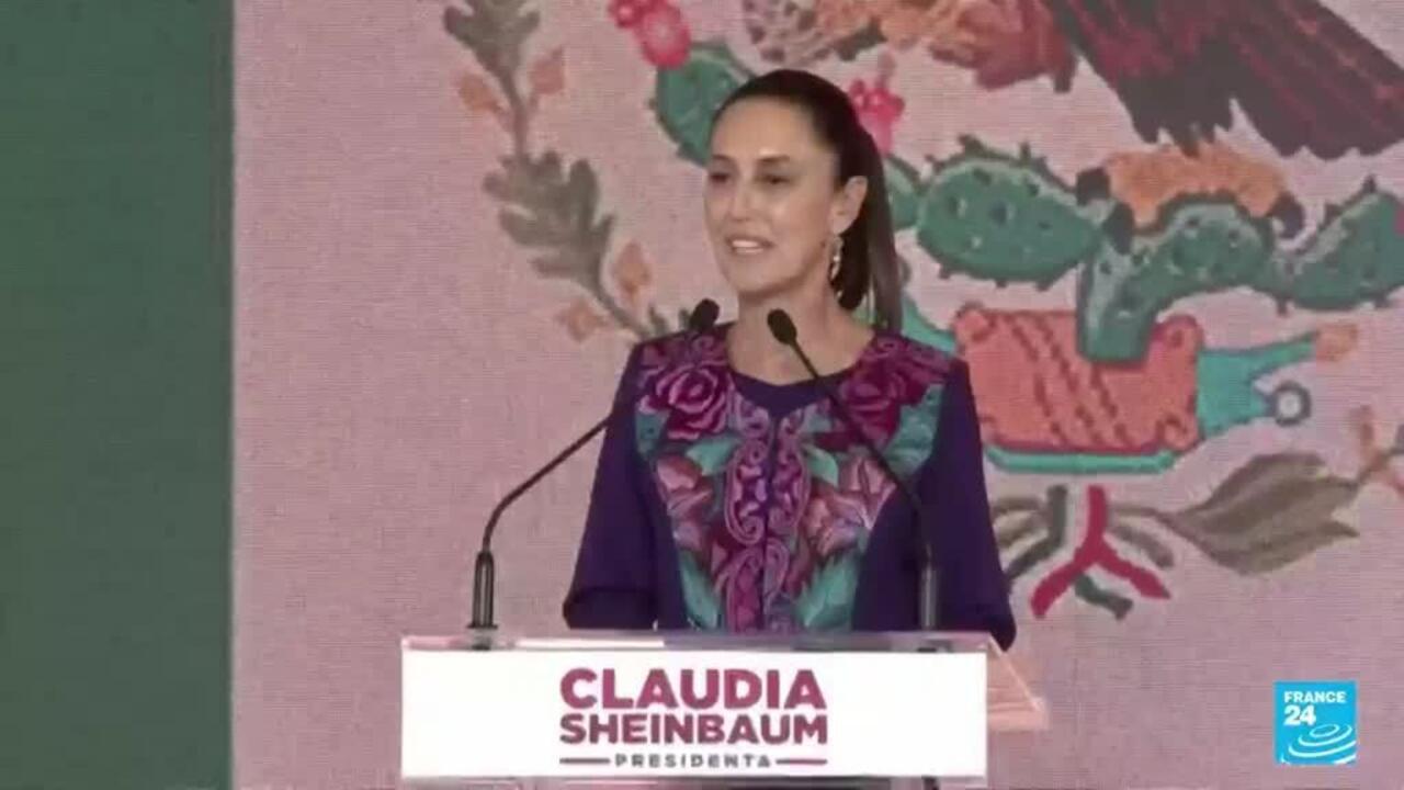 Lula da Silva, Biden y Putin felicitaron a Sheinbaum por su victoria en ...