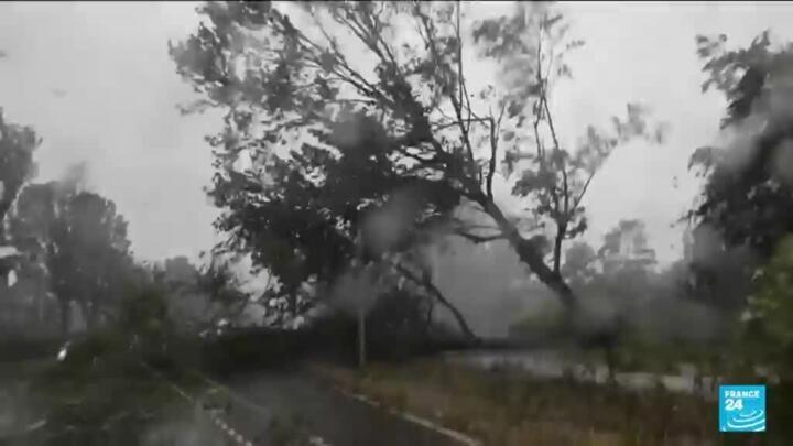'Storm Poly tore down trees and upended vehicles in the Amsterdam ...