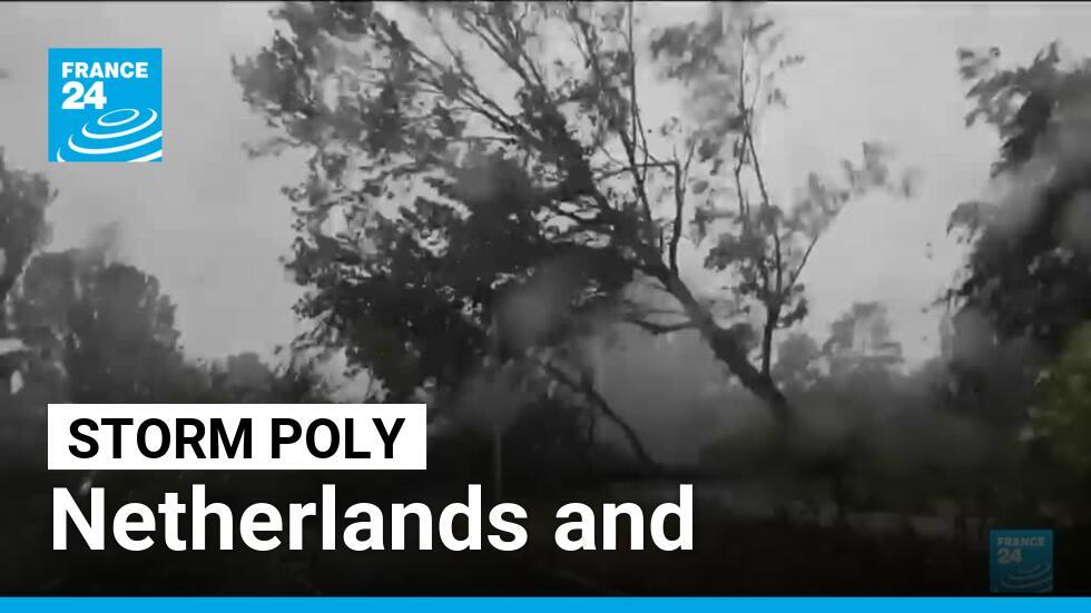 'Storm Poly tore down trees and upended vehicles in the Amsterdam ...