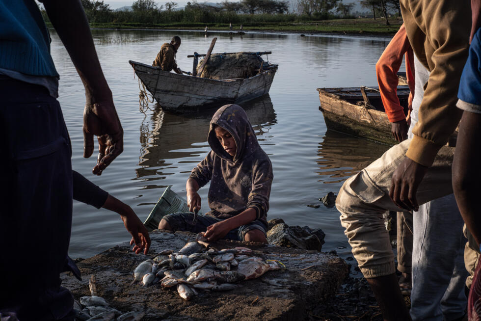 Ethiopia's vast lake being pumped dry