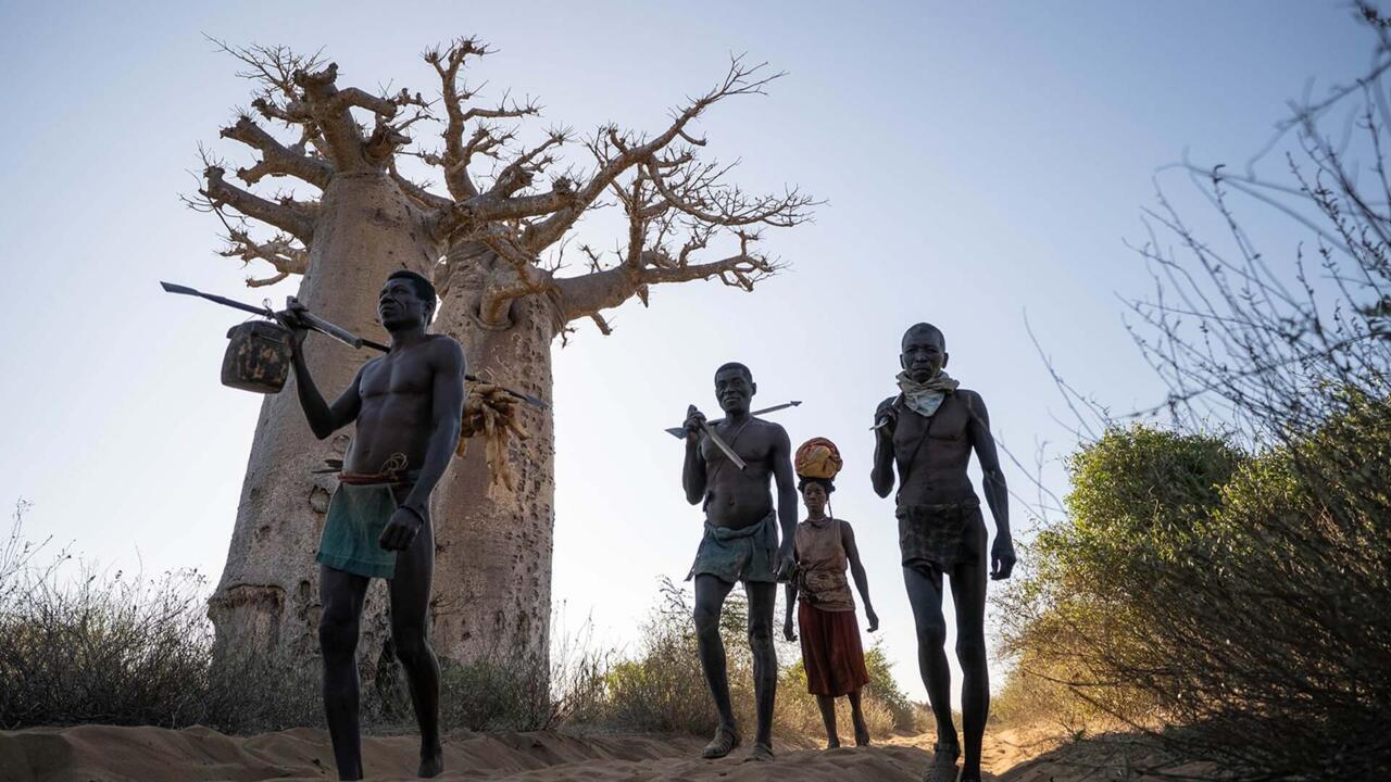 Madagascar: los mikea, últimos guardianes del bosque