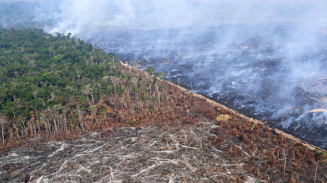 Amazon deforestation drops to nine-year low, says Brazil