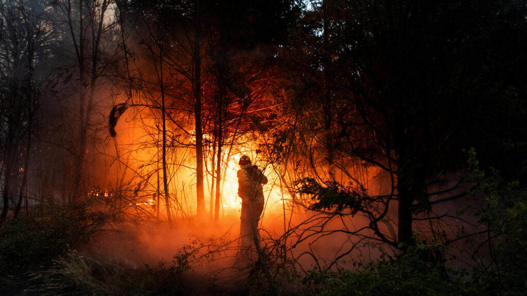 En imágenes: incendios forestales en la Patagonia dejan casi 12.000 ...