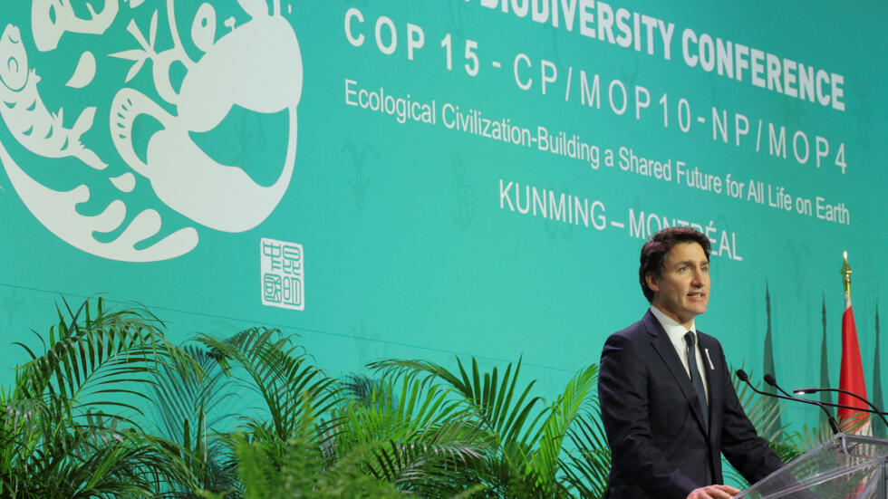 COP15: UN biodiversity talks billed as 'last chance' for nature