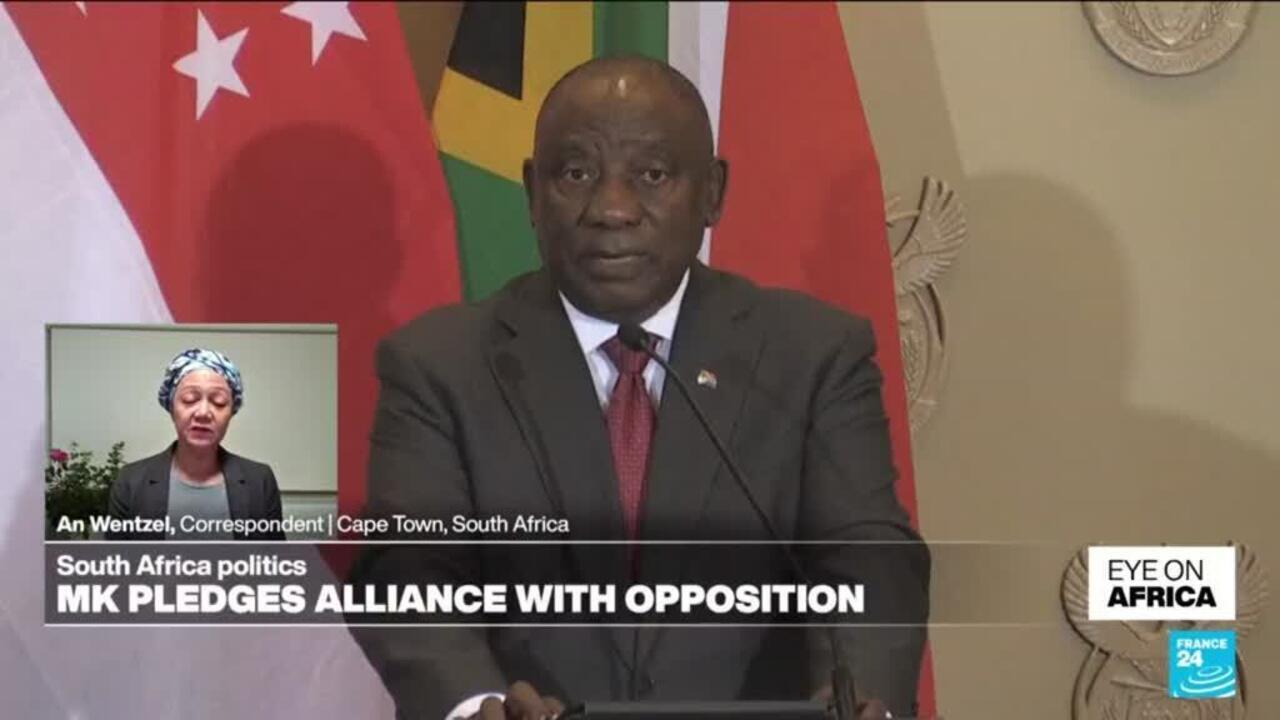 South Africa's unity government now has five parties, ANC says - France 24