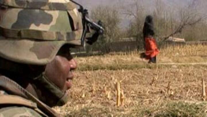 Johan BODIN - France 24