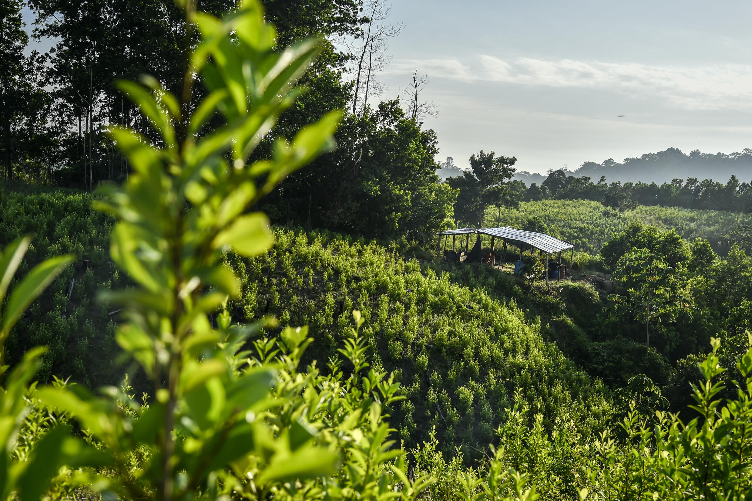 Tibu, violent 'no-man's land' hosting Colombian peace talks