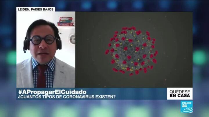 ¿Cuántos tipos de coronavirus existen y en qué se diferencian? - Covid ...