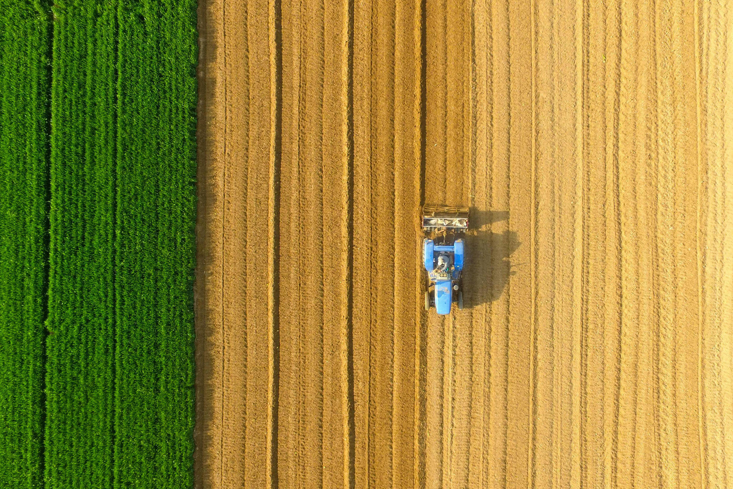 Can pee help feed the world?