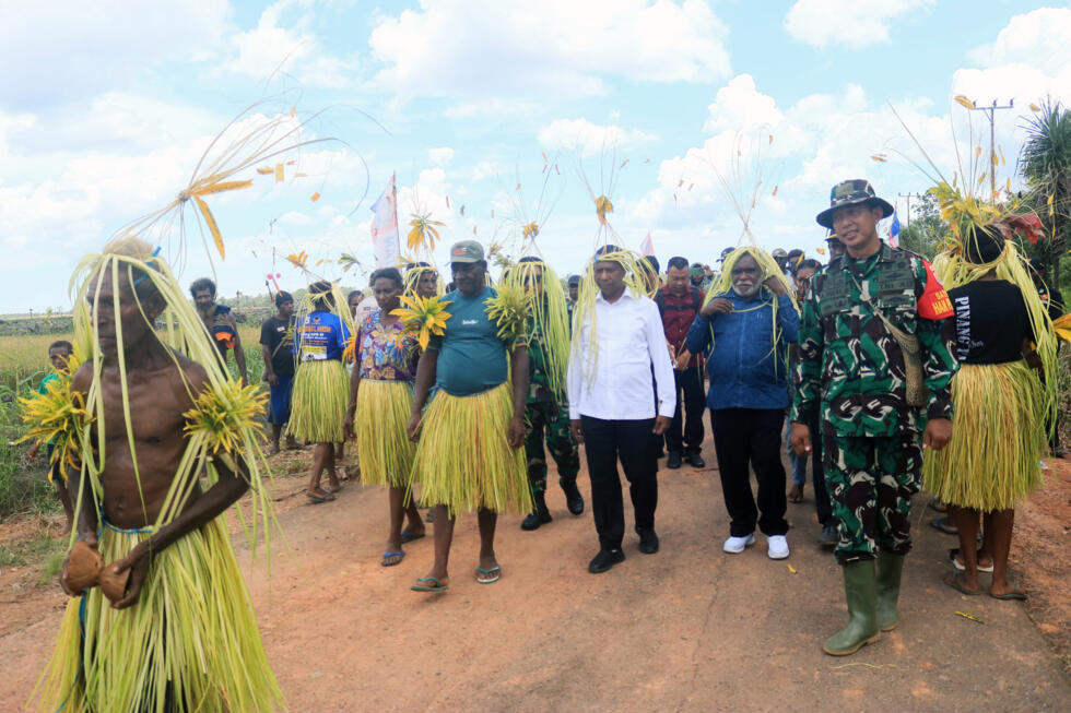 Indonesia food plan risks 'world's largest' deforestation