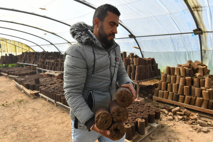 Tunisian startup turns olive waste into clean energy