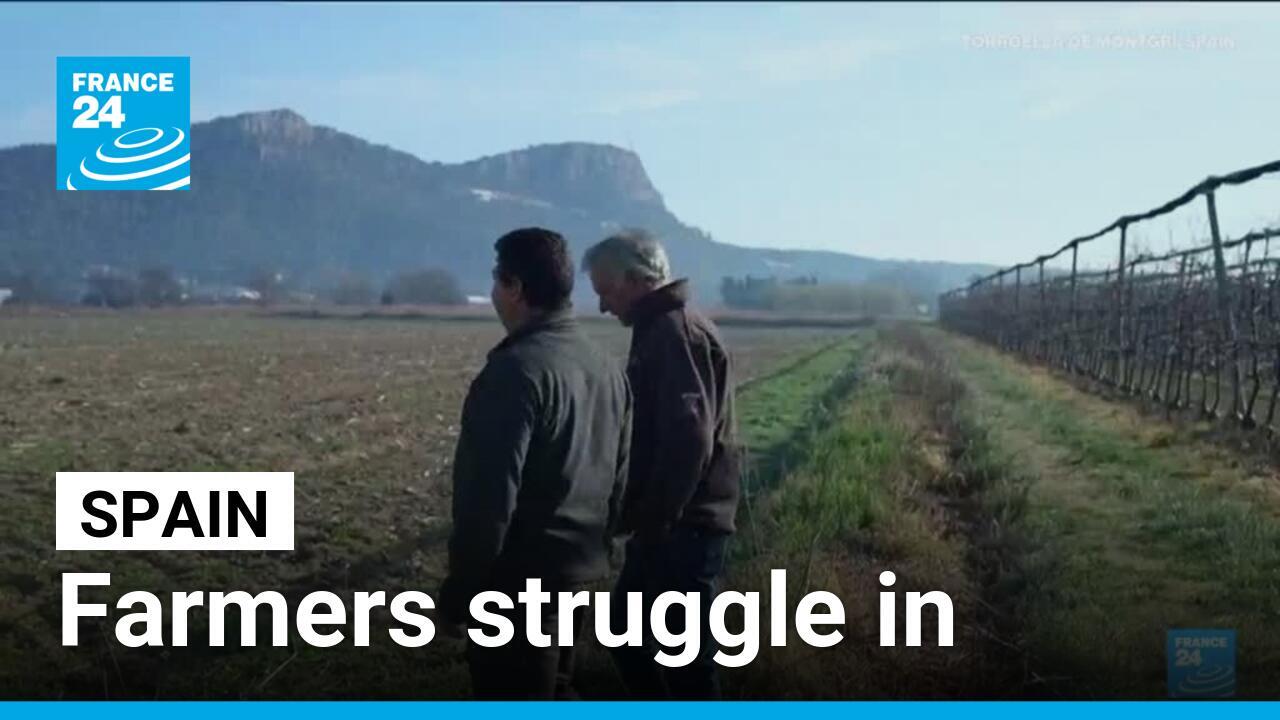 ‘Nothing will grow’: Farmers struggle in drought-hit Catalonia - France 24