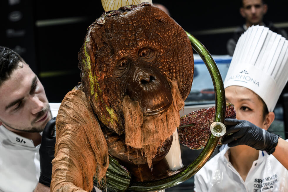 Japan wins World Pastry Cup