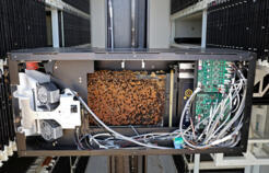 Robot hives in Israel kibbutz hope to keep bees buzzing