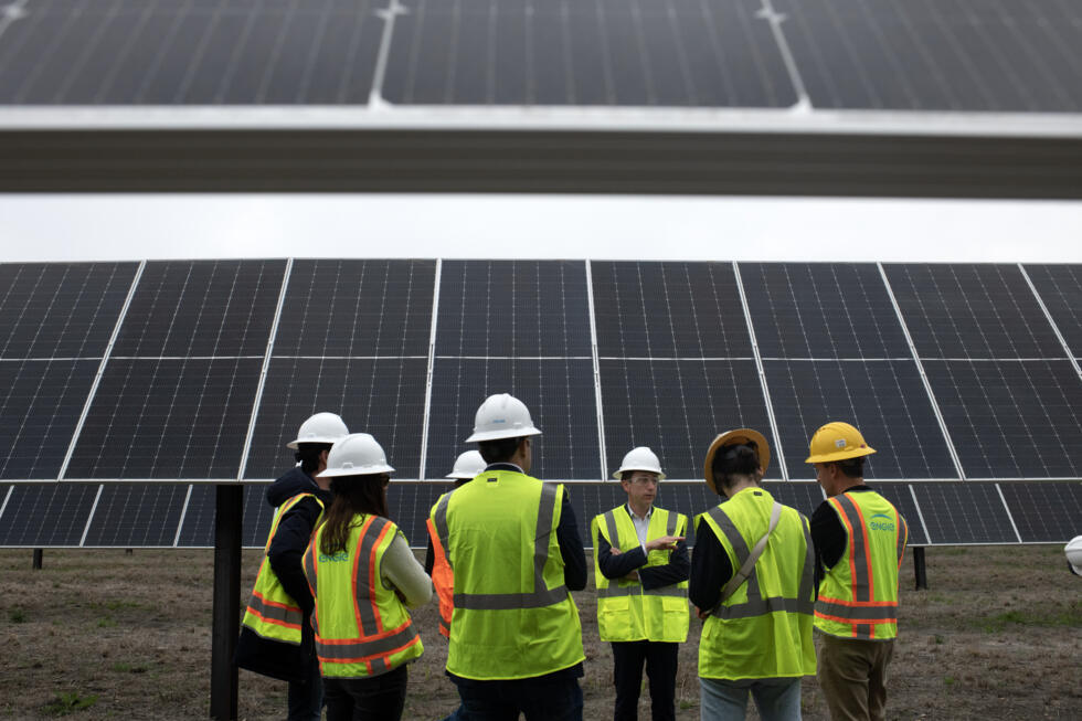 Texas, reino del petróleo, lidera el uso de energía renovable en EE. UU.