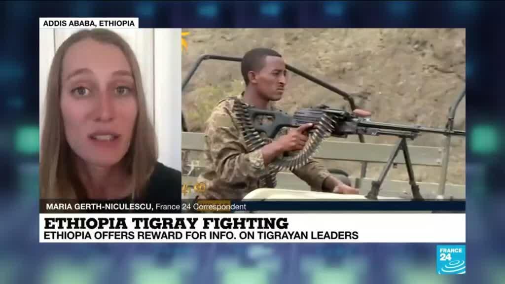 Ethiopia offers reward for information on fugitive Tigrayan leaders ...
