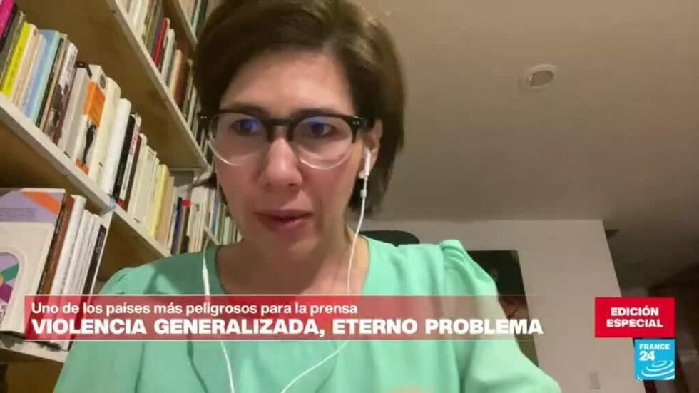Alma Beltrán: 'Para Sheinbaum no será tarea fácil diferenciarse de AMLO' - France 24