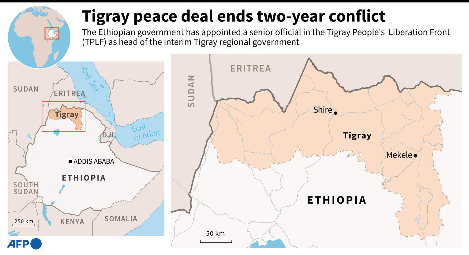 Ethiopia appoints senior TPLF official as head of Tigray interim govt