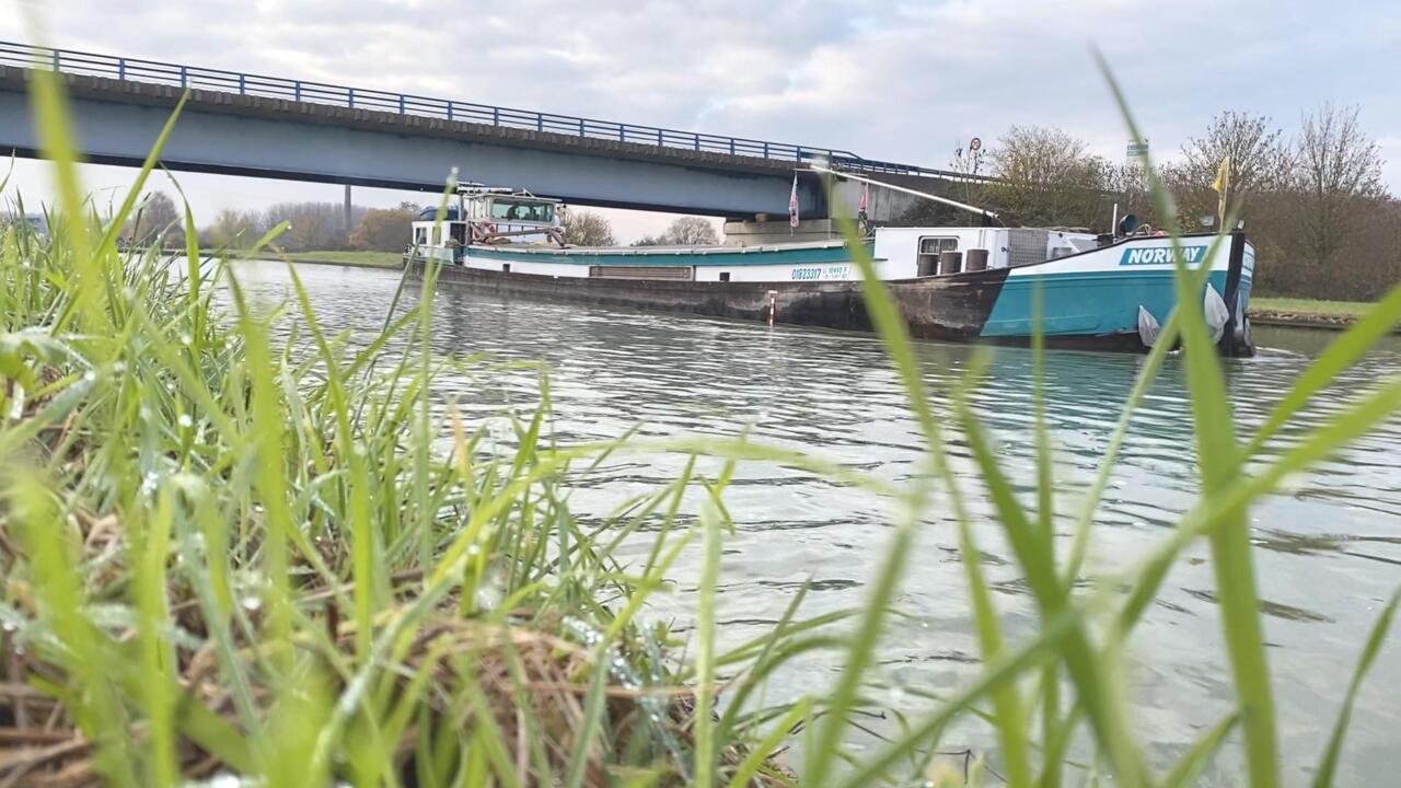 River transport reborn? - Down to Earth