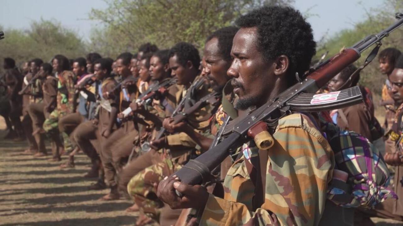 War in Ethiopia: Oromo Liberation Army advances towards Addis Ababa ...