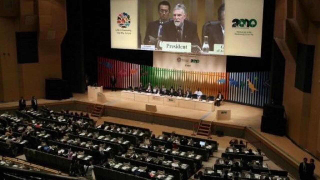 UN conference on preserving species opens in Japan